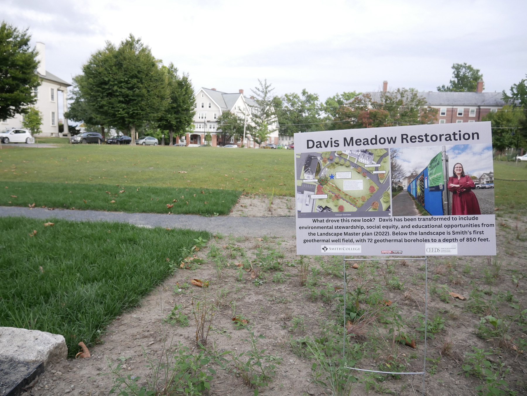 Thermal Energy Networks: Frequently Asked Questions - BDC